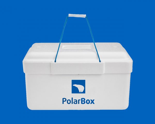 Naming y diseño de logo para Polar Box